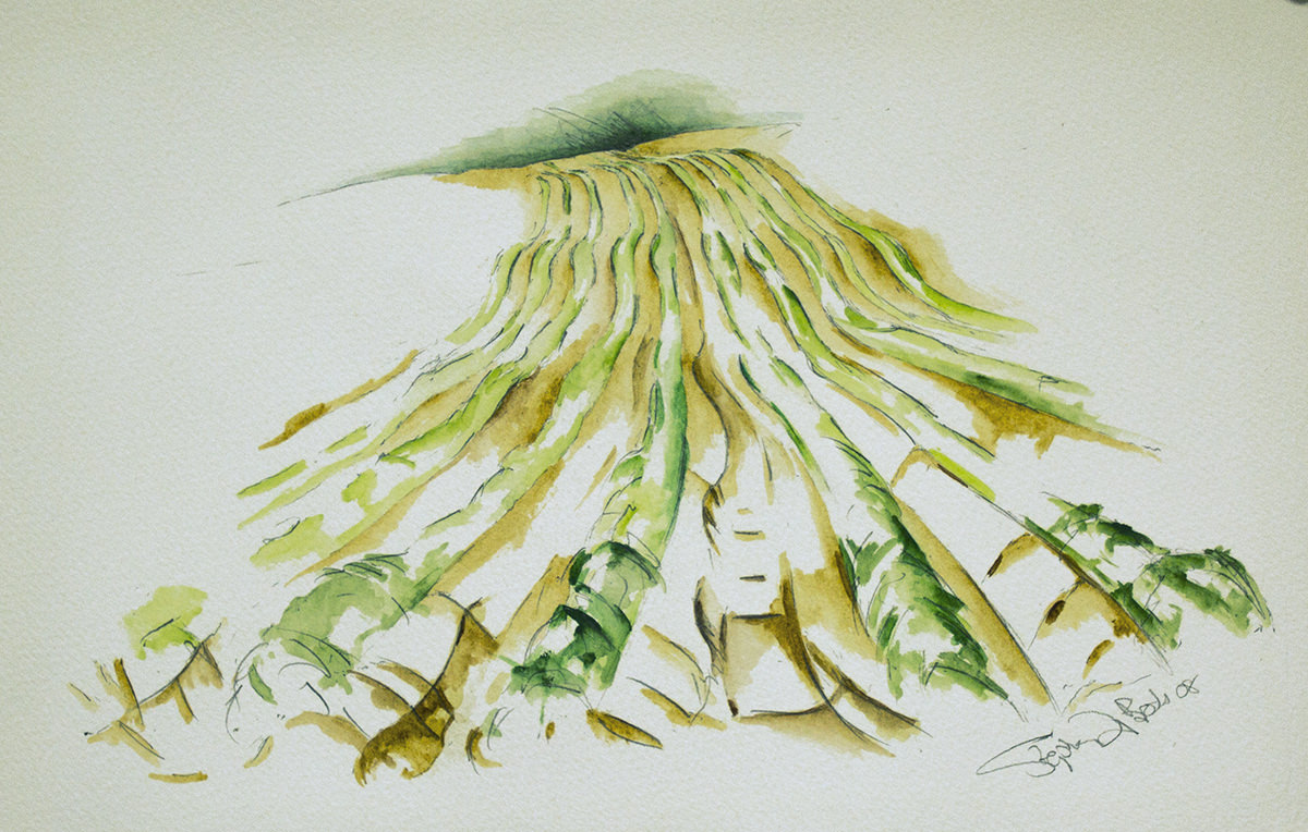 On The Furrowed Brow