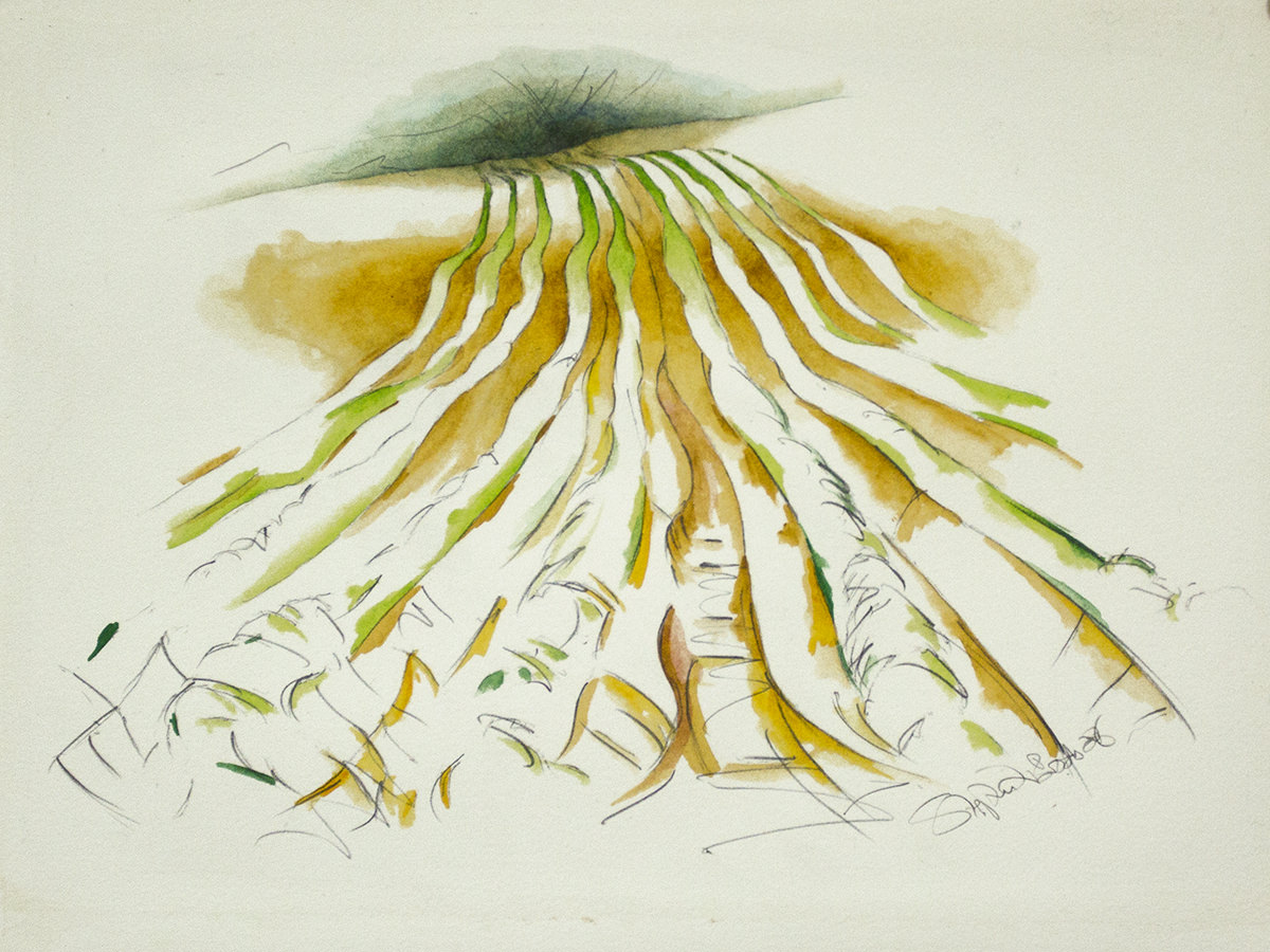 On The Furrowed Brow